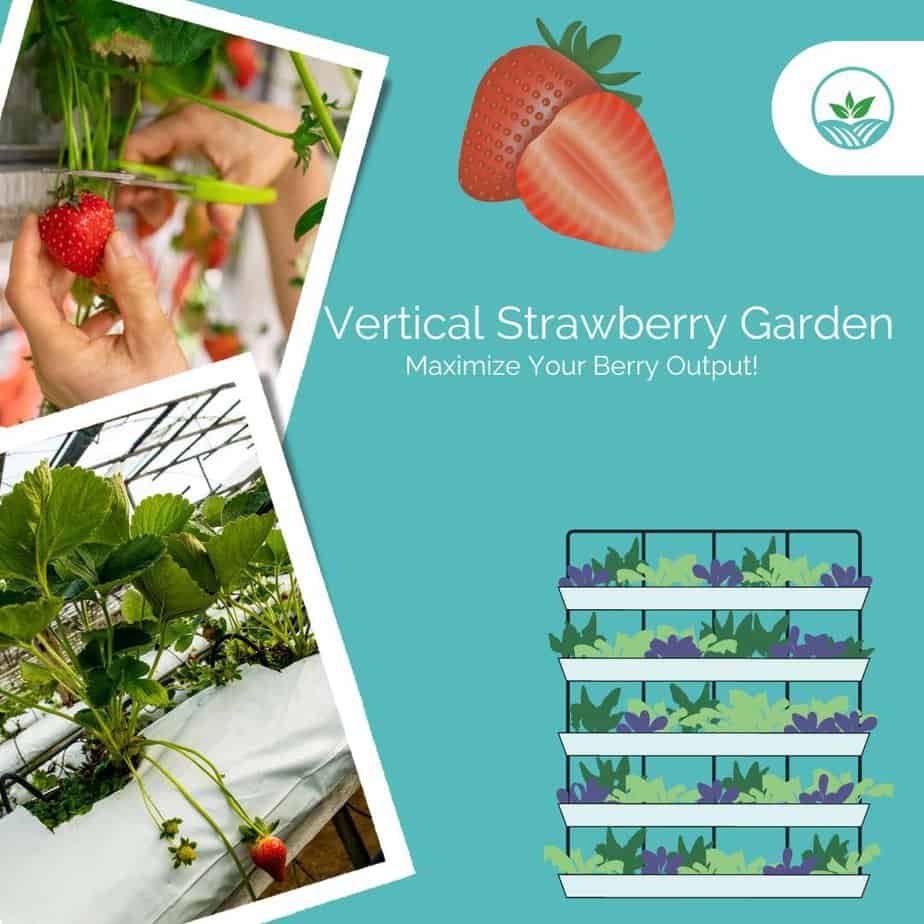 Vertical Strawberry Garden – Maximize Your Berry Output! - Vertical ...
